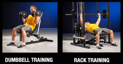 LOOK⇒ Powertec Workbench Utility Bench